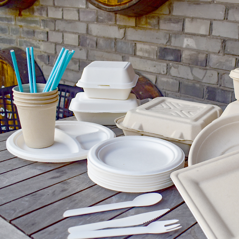 The Benefits of Sugarcane Pulp Plates and Environmental Protection ...