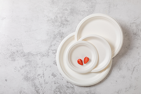 Compostable plates - Buy Compostable plates, Disposable plates ...